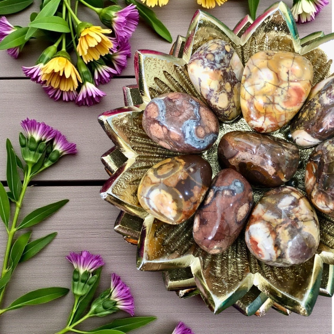 Birds Eye Jasper Tumbles – Vyne Crystals